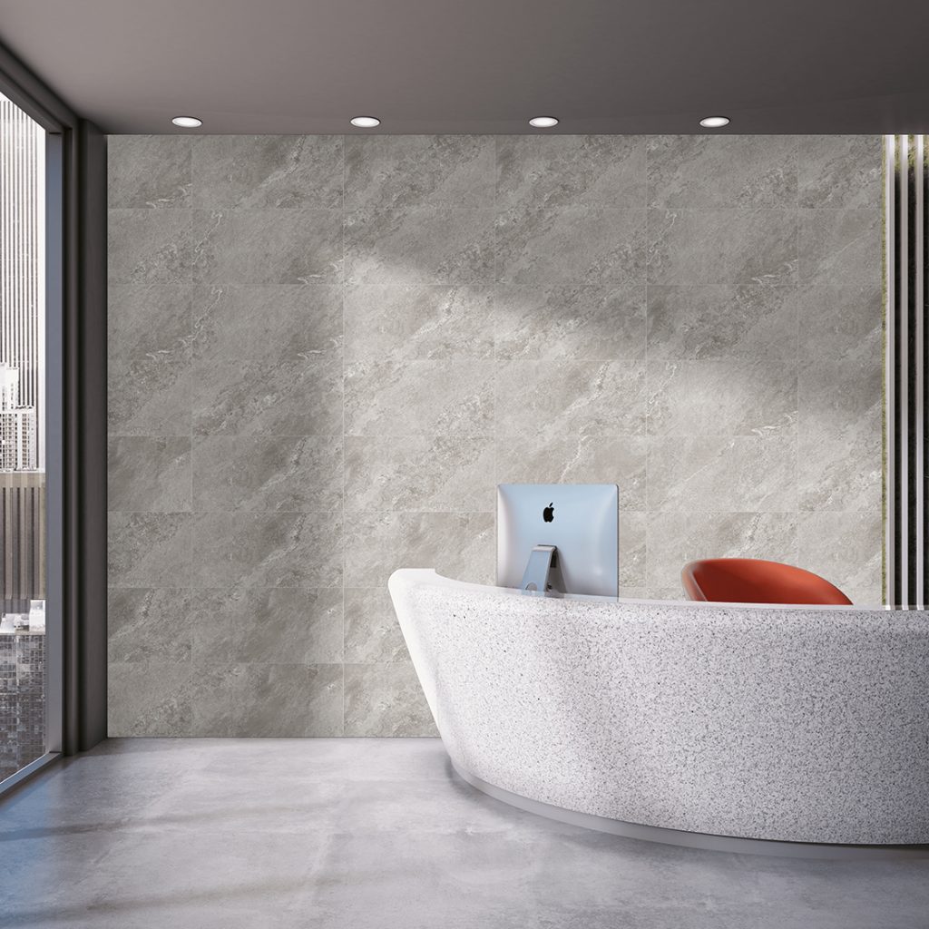 Jupiter Rock 30×60 Grey Matt – Lion Tiles